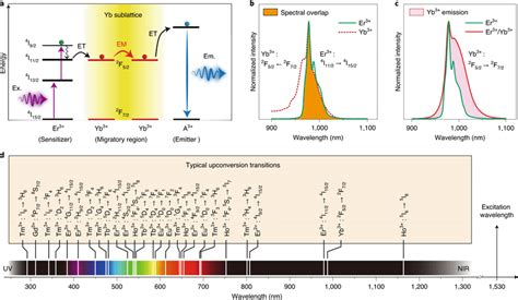Nir Ii Responsive Photon Upconversion Through Energy Migration In An Yb Download Scientific