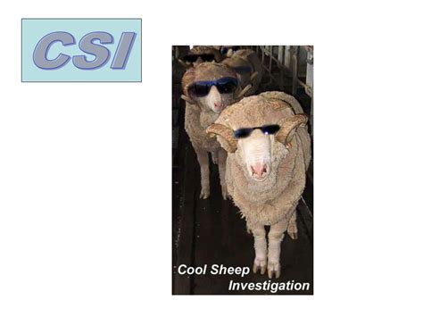 PPT CSI PowerPoint Presentation Free Download ID