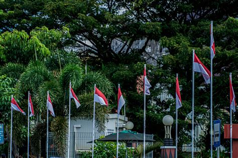 Ambon City의 공원에 있는 여러 기둥에 여러 개의 빨간색과 흰색 깃발이 있습니다 0명에 대한 스톡 사진 및 기타 이미지