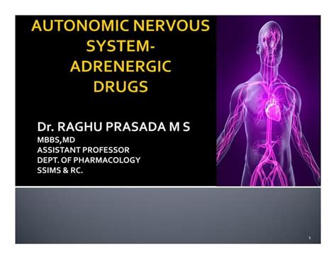 Class Adrenergic Drugs Pdf Endocrine And Metabolic Diseases