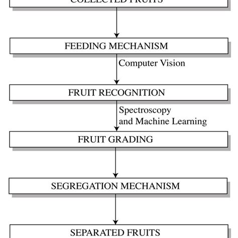 Pdf Efficient Fruit Grading System Using Spectrophotometry And