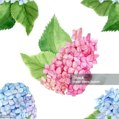 완성 된 이미지는 녹색 잎 흰색 배경에 수채화와 가장자리에 분홍색 수국 파란색의 원활한 패턴입니다 0명에 대한 스톡 벡터 아트