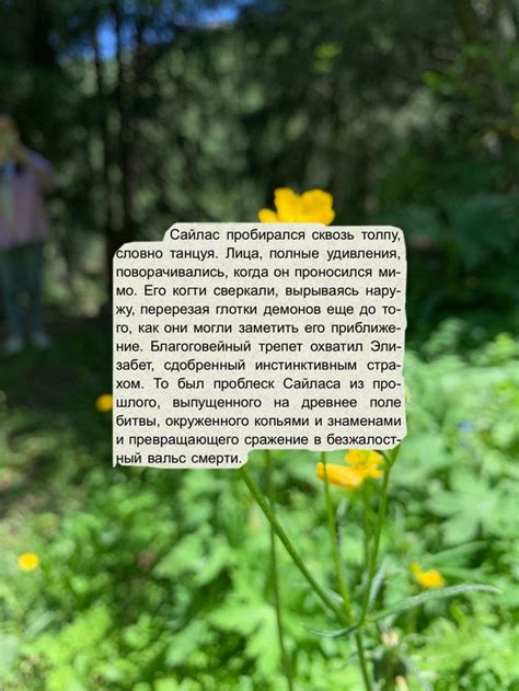 Магия шипов