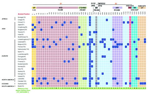Matrix Representing Amino Acid Substitutions Present In Sars Cov 2 S