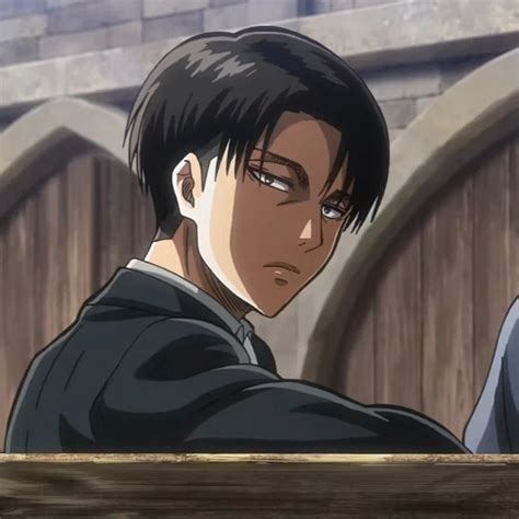 利威尔·阿克曼 花瓣网