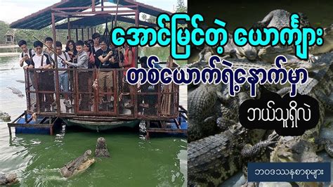 အောင်မြင်တဲ့ယောင်္ကျားတစ်ယောက်ရဲ့ နောက်ကွယ်မှာ ဘယ်သူရှိလဲ Youtube