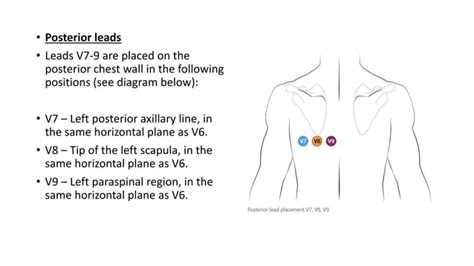 Basic In Ecg Physiology Exam For Medical Student Ppt