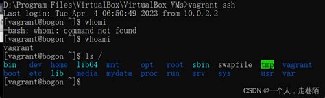 使用vagrant快速安装linux系统 Csdn博客
