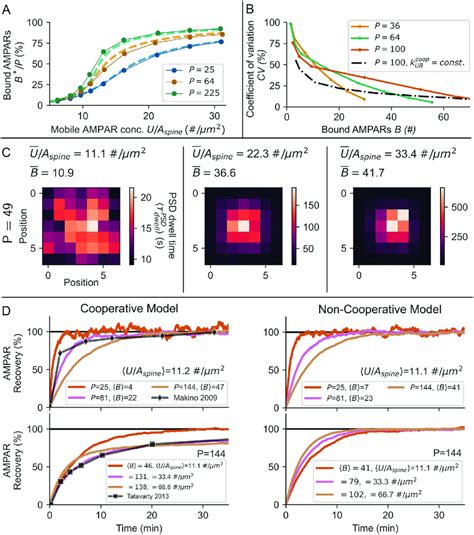 Receptor Clustering Influences The Statistical Properties And Mobility