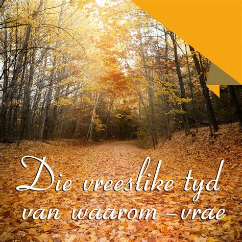 Die Vreeslike Tyd Van Waarom Vrae Juig