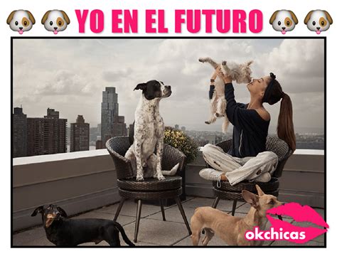 A Woman Sitting In A Chair With Two Dogs On Her Lap And Another Dog