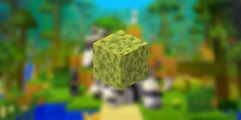 Minecraft Sponge Texture At Emma Sparks Blog