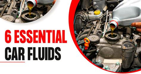 6 Essential Car Fluids Everyone Must Know