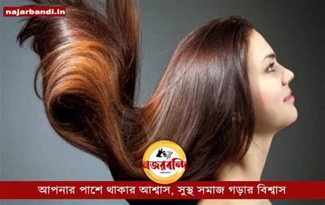 Hair Care Tips পুজোর আগে ঘন কালো লম্বা চুল চাই ভরসা রাখুন ঘরোয়া