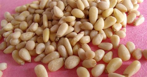 Tang s Art Journal 松子仁红松果Pine Nuts