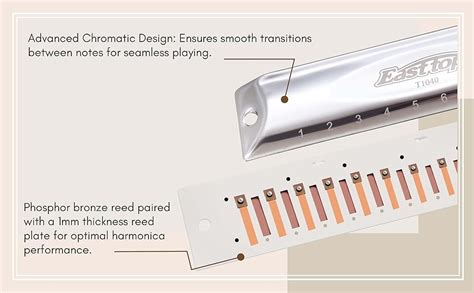 Easttop T Mouth Organ Harmonica Key Of C Amazon In Musical Instruments