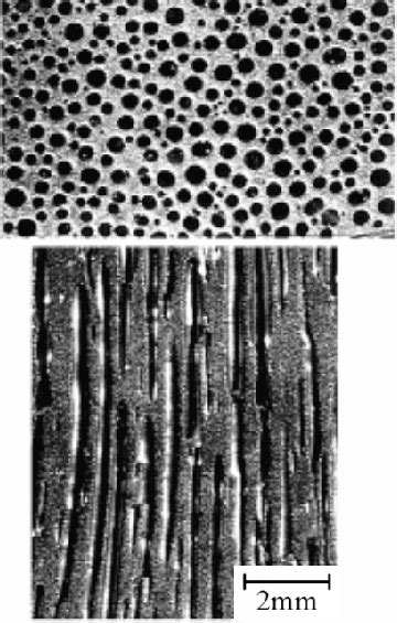 Sem Micrograph Showing Transverse Cross Section Of Nial Mo Rod Like
