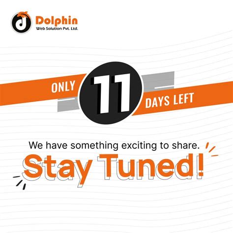 Dolphin Web Solution On Linkedin Can You Guess What We Are Doing 🤔 Stay Tuned For Clues