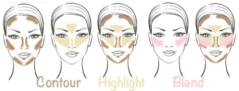 Highlighting And Contouring Tutorial Sequoit Media