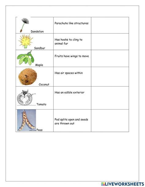 Fertilization And Seed Dispersal Worksheet 6752022