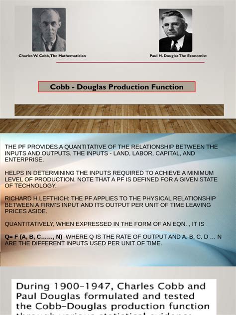 Cobb Douglas Production Function Pdf
