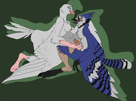 Rule 34 Anthro Avian Beak Bird Blue Jay Breasts Dove Duo Erection
