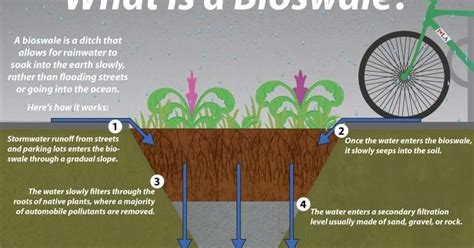 Civil And Architectural Engineering Bioswale