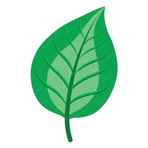 Single Green Betel Leaf Vector Design Elegant Simplicity Premium Ai