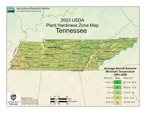 Which Plants Are Native To Memphis Which Grow Best What To Know