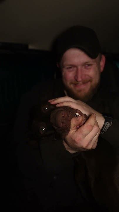 Орли хотел попасть в шортс попал курцхаар Youtube