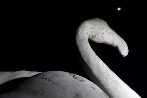 Las Mejores Imágenes Del Eclipse Solar Del 21 De Agosto De 2017