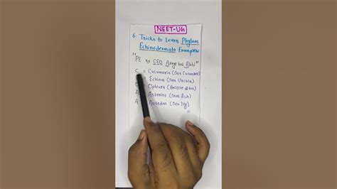 Phylum Echinodermata Examples Trick Neet2025 Biology Class11th