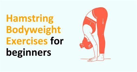 5 Killer Hamstring Bodyweight Exercises For Beginners In 2024 The