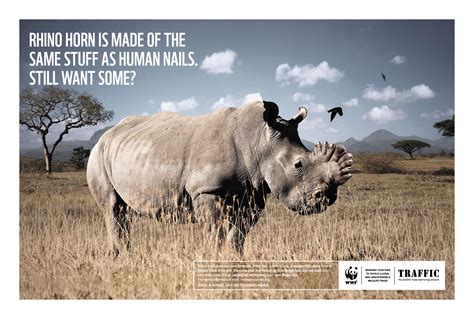 Ad Campaign Aims To Reduce Vietnamese Demand For Rhino Horn Wwf