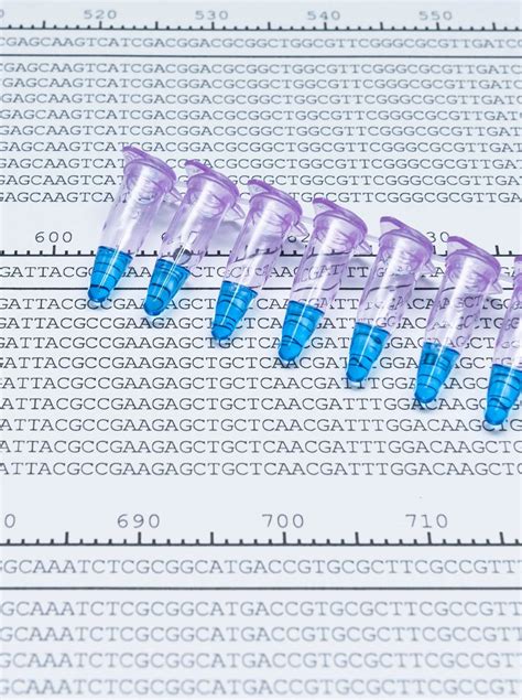 Navigating The Mthfr Gene Mutation Root Solutions