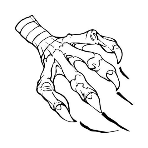 Eagle Claws Drawing At Explore Collection Of Eagle