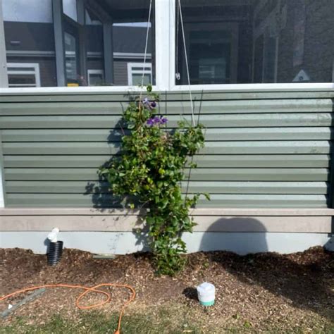 31 Green Vinyl Siding House Ideas