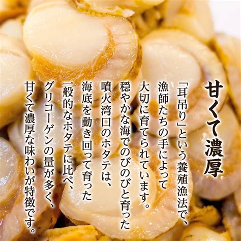 【楽天市場】【ふるさと納税】 ほたて 北海道 ボイルベビーホタテssサイズ 2kg（1kg×2袋）北海道産 バラ冷凍 ほたて 帆立 加熱用