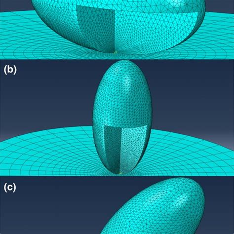 Paul Steinmann Professor Friedrich Alexander University Of Erlangen Nürnberg Erlangen Fau