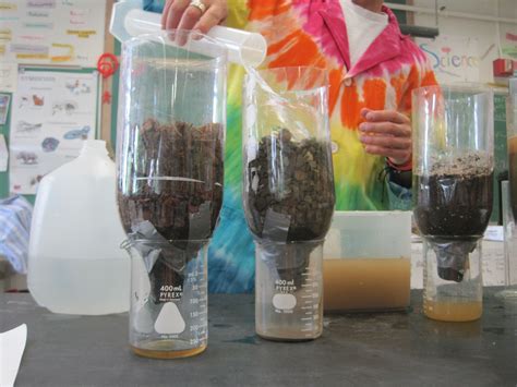 Water Purification Science Experiments