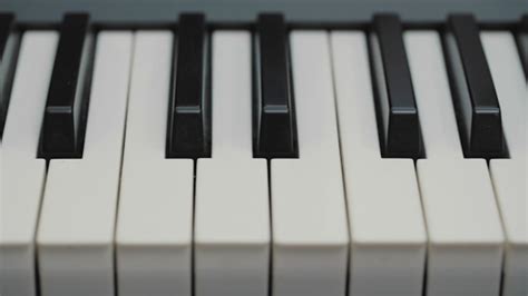 Musical Instrument Equipment Keyboards Piano Synthesizer Midi