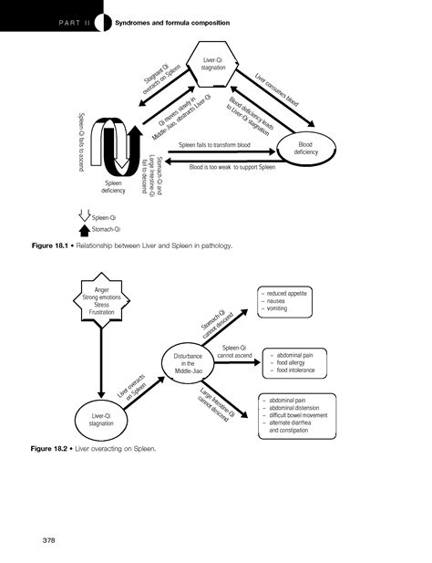 Liver Spleen Relationship Big Chemical Encyclopedia