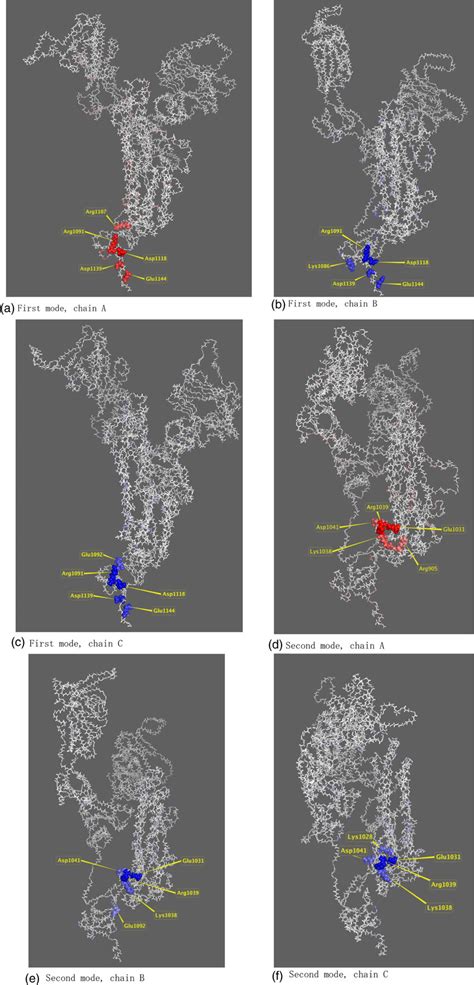 Key Residues With Higher Amplitudes In Each Eigenvector Of Svd Analysis