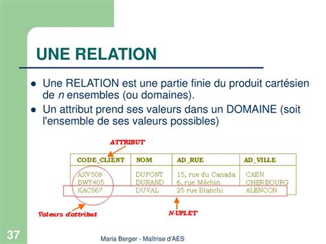 Ppt Le Modèle Entité Association Powerpoint Presentation Free