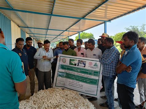 Apiculture Training Program Cornell Sathguru Foundation For Development