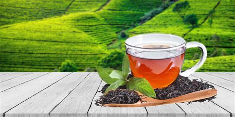 Orange Pekoe – Lakpura LLC