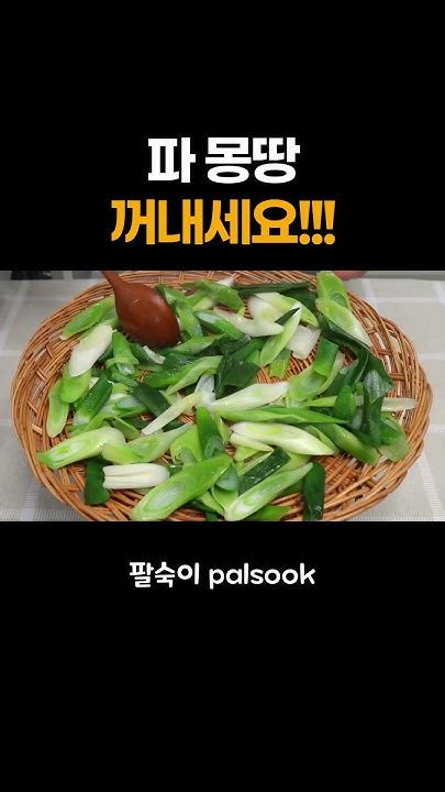대파 몽땅 꺼내세요 Shorts Youtube
