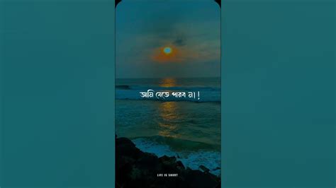 ও‌ আল্লাহ আমি কিছুই চাই না তুমি আমার জীবনের গুনাহ গুলো মাফ করে দাও 🤲