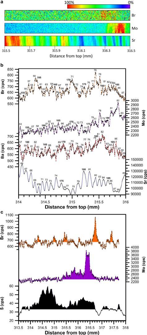 A Synchrotron Radiation Micro Xrf Maps 80 × 1000 μm Pixel Size 2