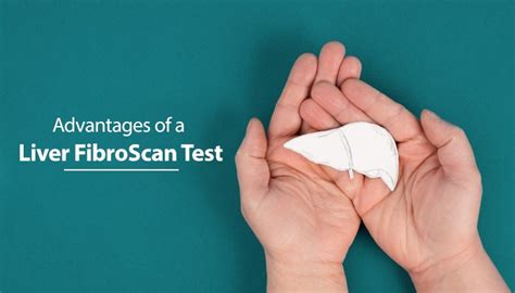 Advantages Of A Fibroscan Test For Liver